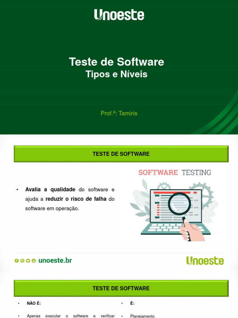 Teste de Software Tipos e Niveis | PDF | Testes de software | Programas