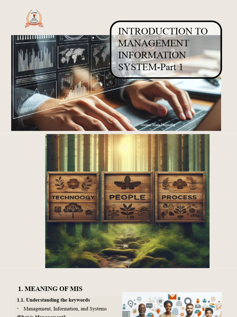 ACC 323 Part 1 | PDF | Information | Management Information System