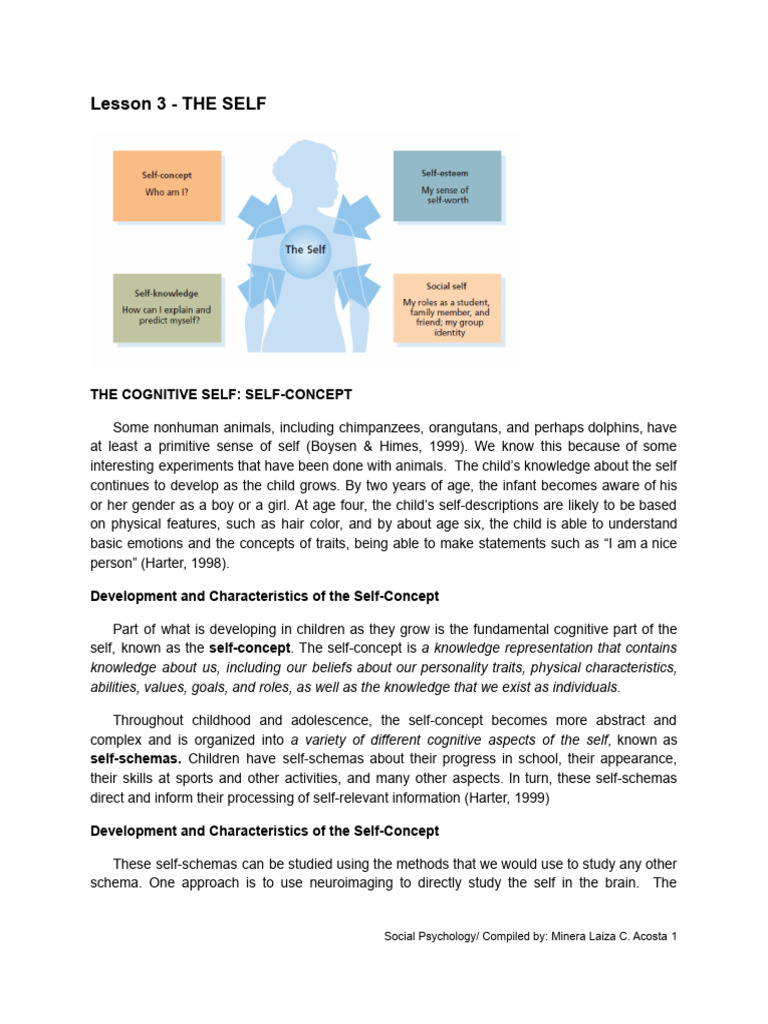 Lesson 3 Social Psychology | PDF | Self Esteem | Self Concept