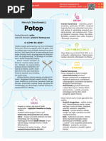 Postawy Odwagi I Tchórzostwa - Potop | PDF