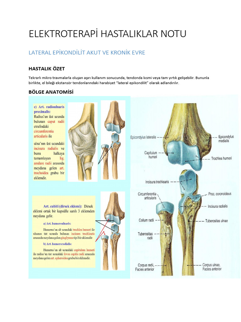 Elektroterapi Hastalıklar | PDF