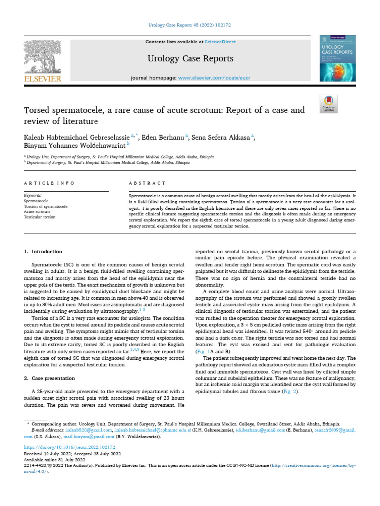 Torzija | PDF | Medical Specialties | Clinical Medicine