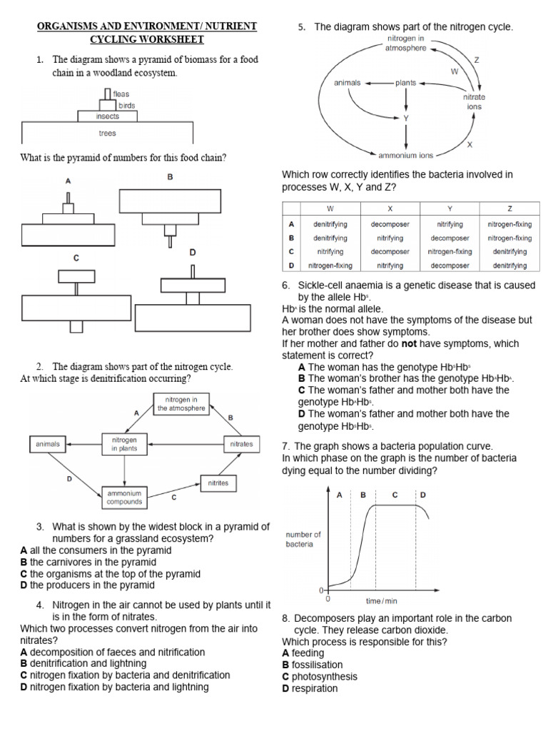 Organisms and Environment Worksheet | PDF | Food Web | Foods