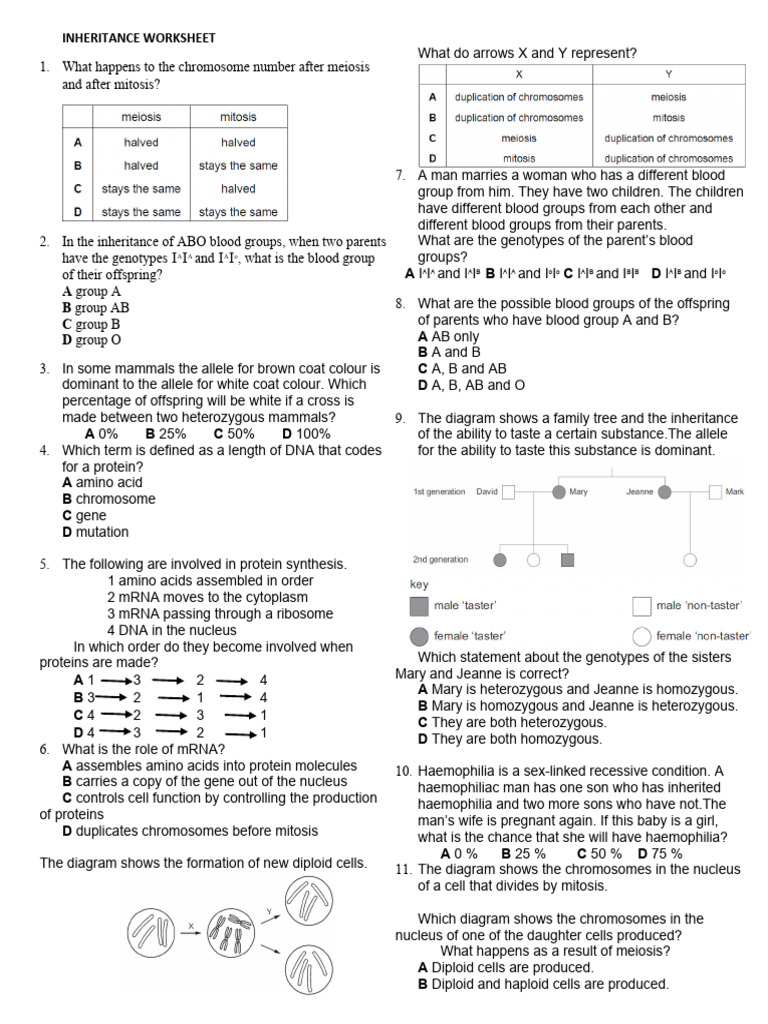 INHERITANCE AND VARIATION WORKSHEET Biology IGSCE | PDF | Genotype ...