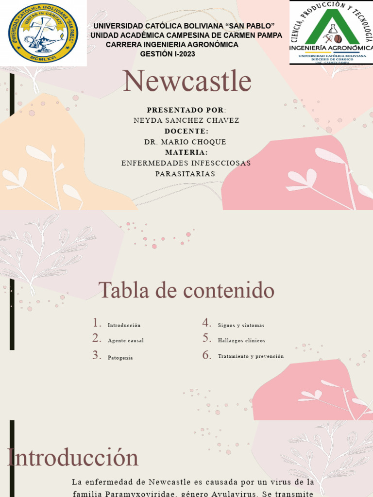Newcastle Enfermedades | PDF | Vacunas | Vacunación