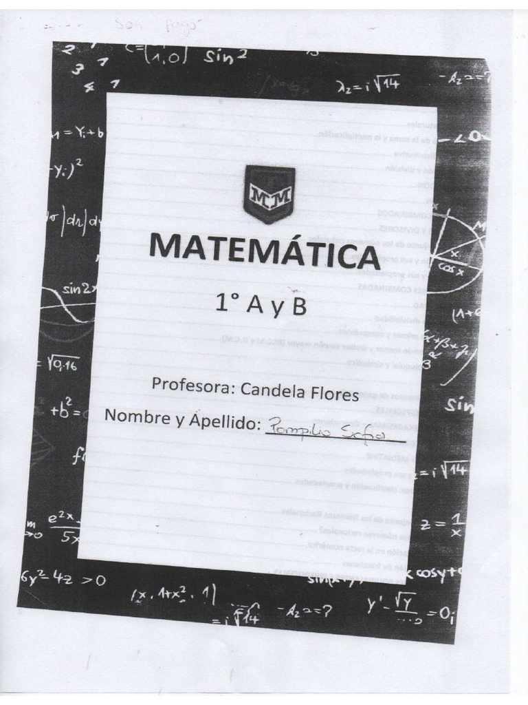 Matematica Imm | PDF
