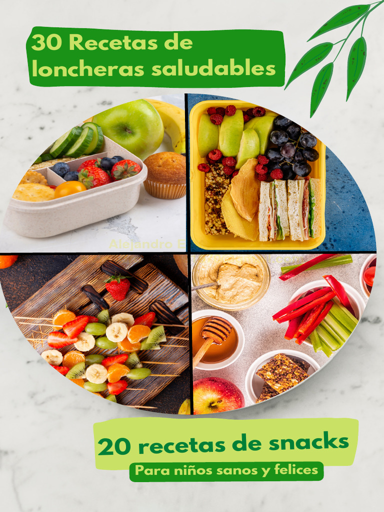 30 Recetas de Loncheras Saludables y 20 Recetas de Snacks para Niños Sanos y Felices | Descargar ...