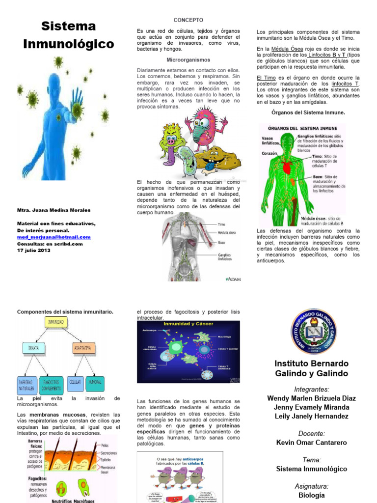 Sistema Inmunolo Gico Triptico | PDF | Sistema inmune | Infección