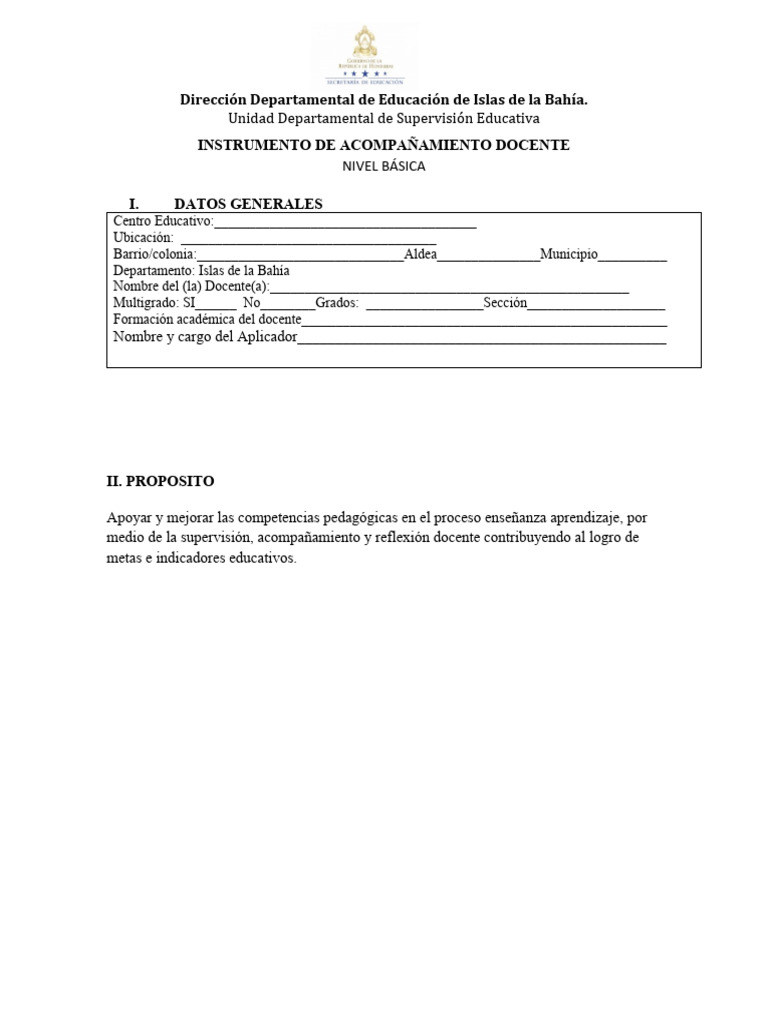 Ficha de Acompa Amiento | PDF | Evaluación | Enseñando