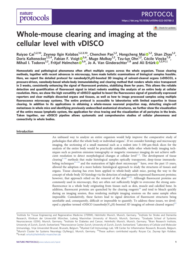 Whole-Mouse Clearing and Imaging at The Cellular Level With VDISCO ...