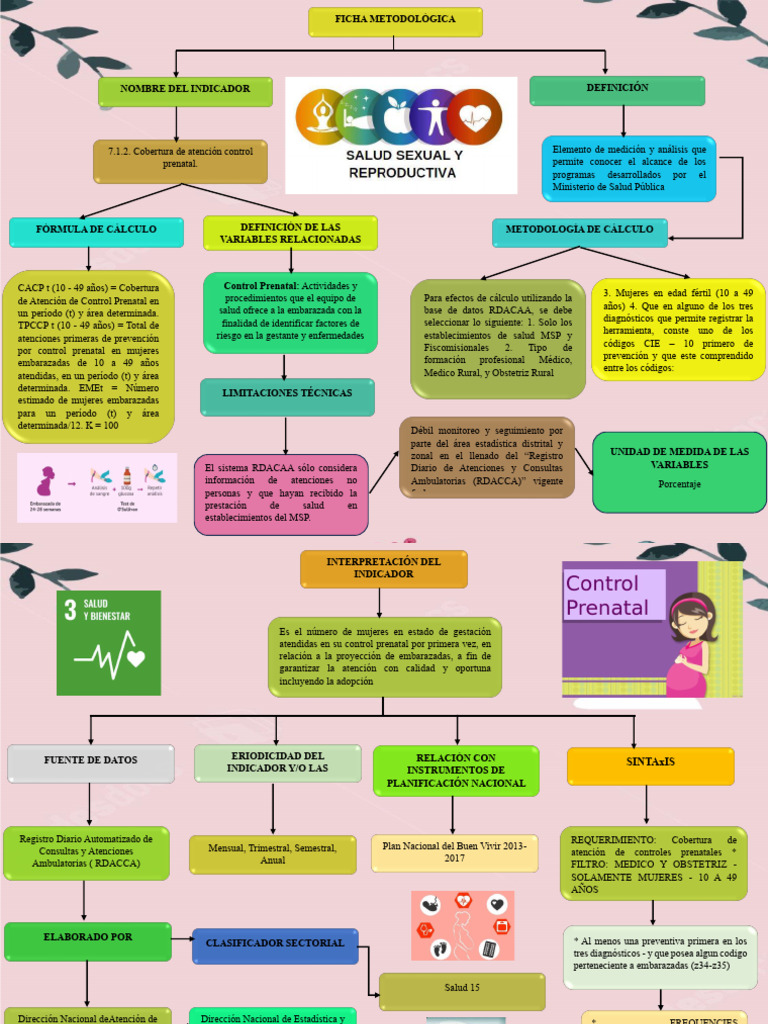 MAPAS CONCEPTUALES | PDF | Partería | Parto