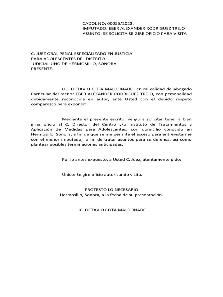 Se Solicita Oficio | PDF