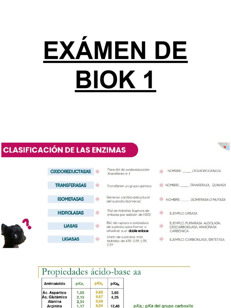 Examen Teo Biok Enzimas | PDF | Enzima | Inhibidor de la enzima
