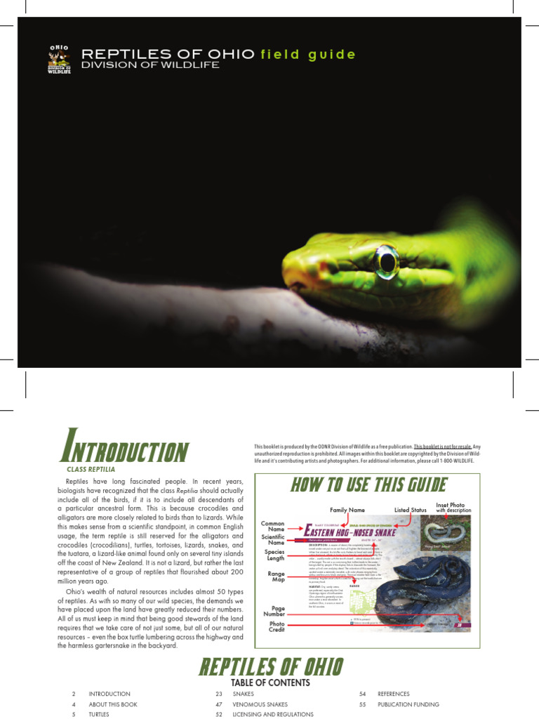 Pub 5354_Reptiles of Ohio Field Guide | PDF | Turtle | Reptile