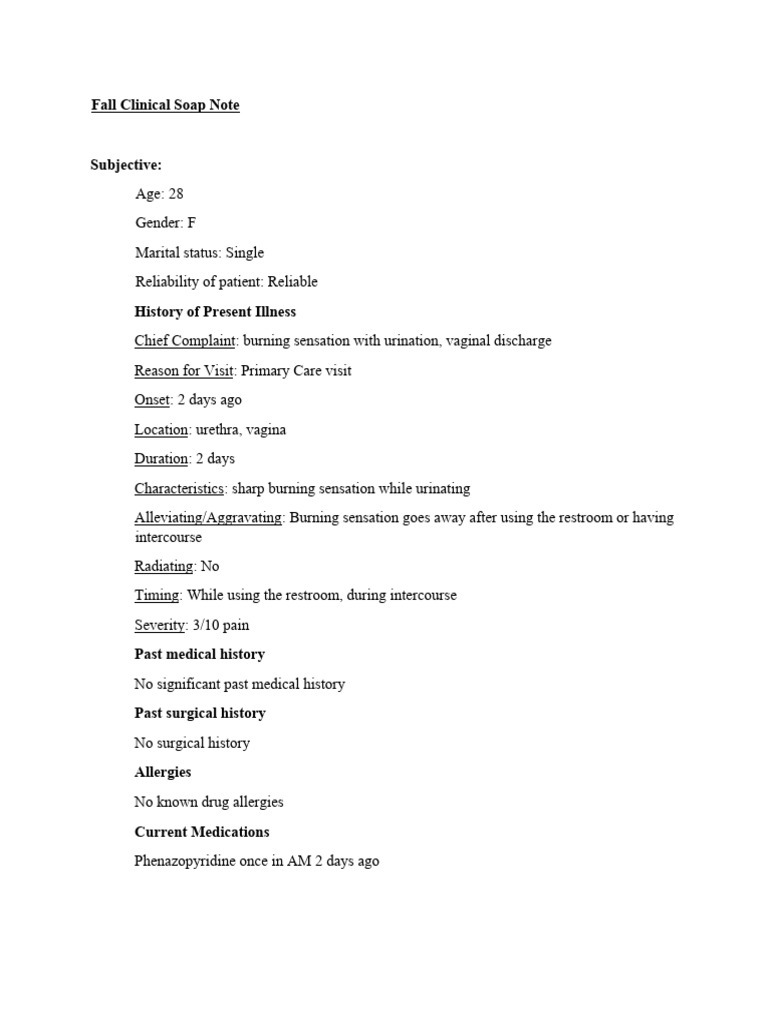 Spring 2024 Clinical Soap Note 03 | Download Free PDF | Vagina ...