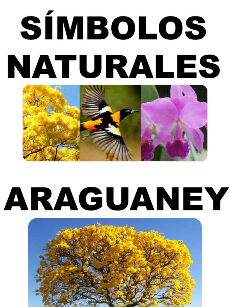 Simbolos Naturales | Descargar gratis PDF | Venezuela | Biodiversidad