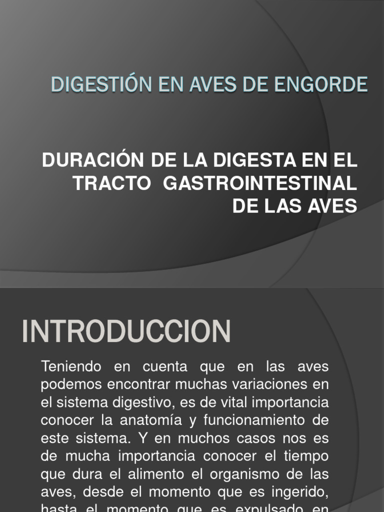 Aves Digestion | PDF | Estómago | Nutrientes