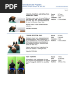 Cervical Isometric Strengthening Exercises | PDF