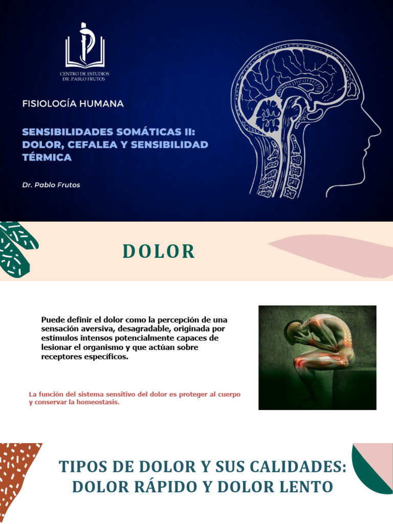 4 - Sensibilidades Somã Ticas Ii | PDF | Dolor | Termorregulación