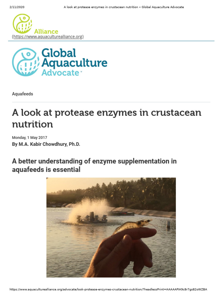 Protease Enzymes in Crustacean Nutrition | PDF | Digestion | Enzyme