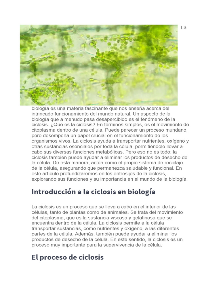 Ciclosis | Descargar gratis PDF | Biología Celular) | Citoplasma