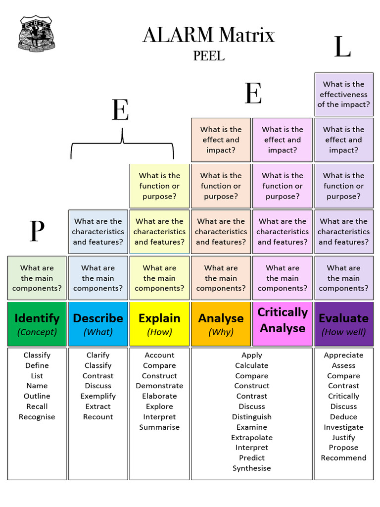 ALARM - Framework - Scaffold - PEEL | PDF | Cognition | Cognitive Science