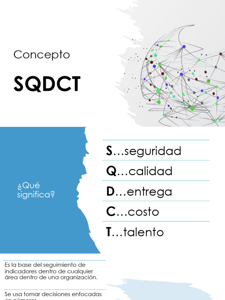 Sistema de Gestión Diaria - SQDCT | PDF