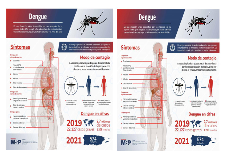 FICHA EL DENGUE | PDF