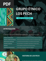 Informe Pech | PDF | Pueblos Indígenas de las Américas