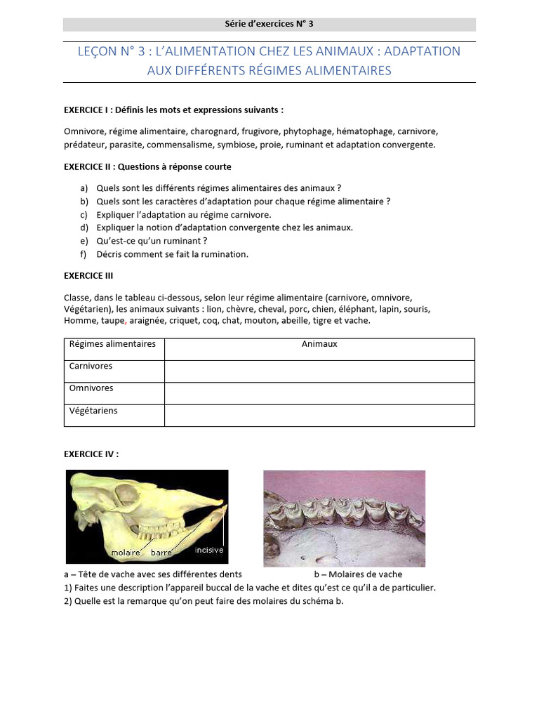 Alimentation et Adaptations des Animaux | PDF | Tractus gastro ...