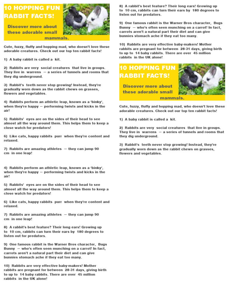 Rabbits | PDF | Rabbit | Mammals