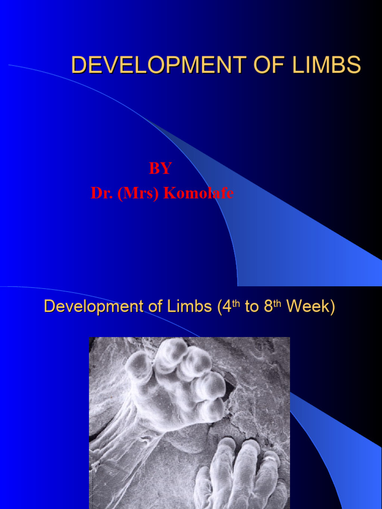 Powerpoint LimbDevelopment | PDF | Developmental Biology | Anatomy