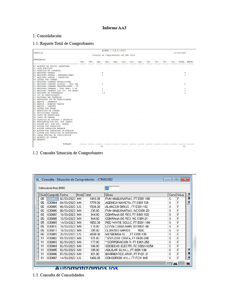 Formato AA3 GERALDIN ARAPA | PDF