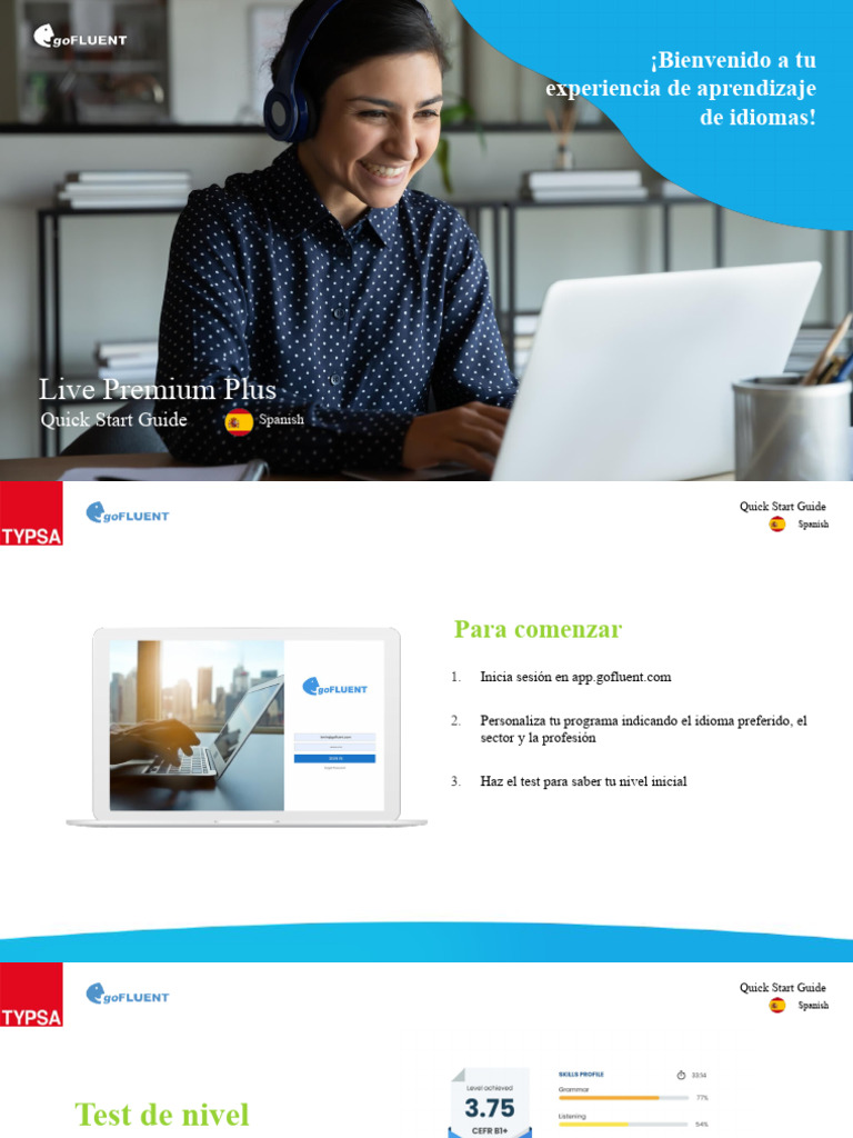 Guía de Usuario GoFLUENT - TYPSA 2023 | PDF | Informática | Software