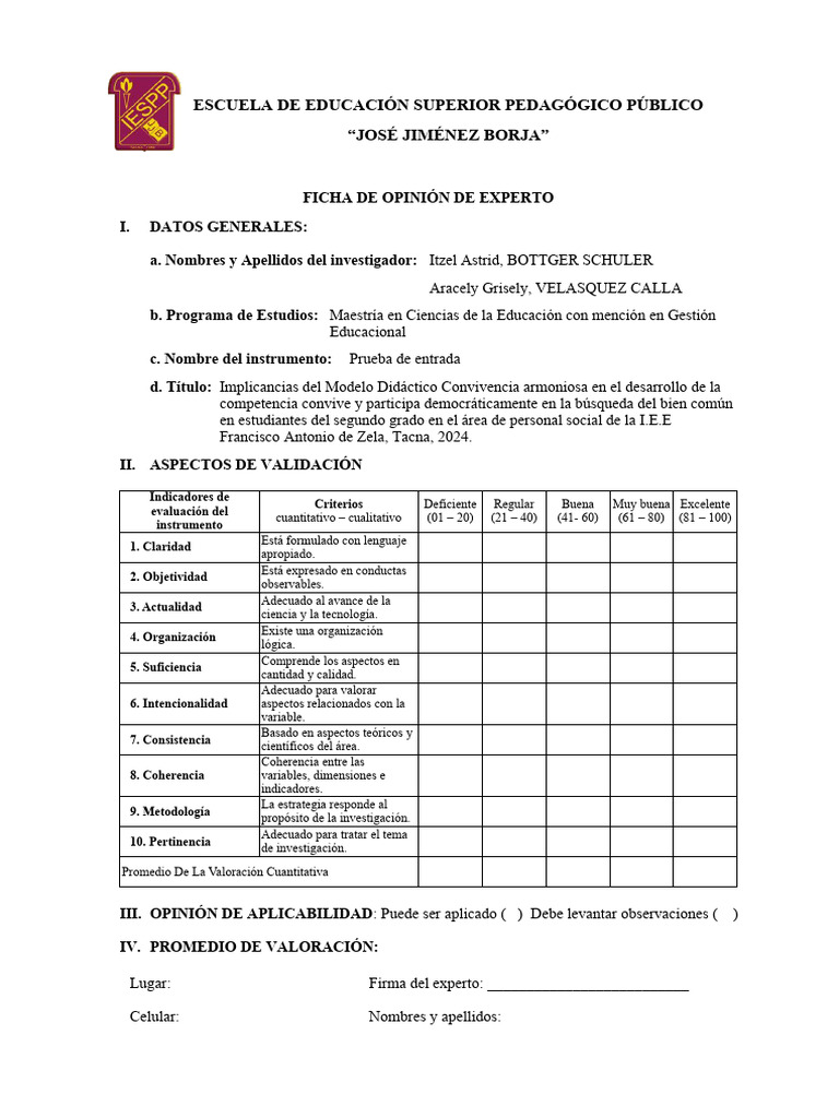 Ficha de Experto para Evaluar El Instrumento | PDF | Cognición | Science