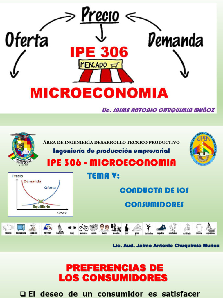 Tema 5 Ipe 306 | PDF | Microeconomía | Utilidad