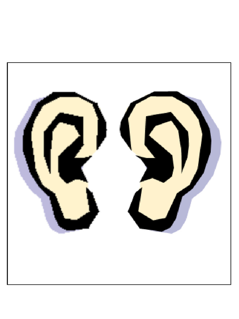 Flashcards Tail tummy | PDF