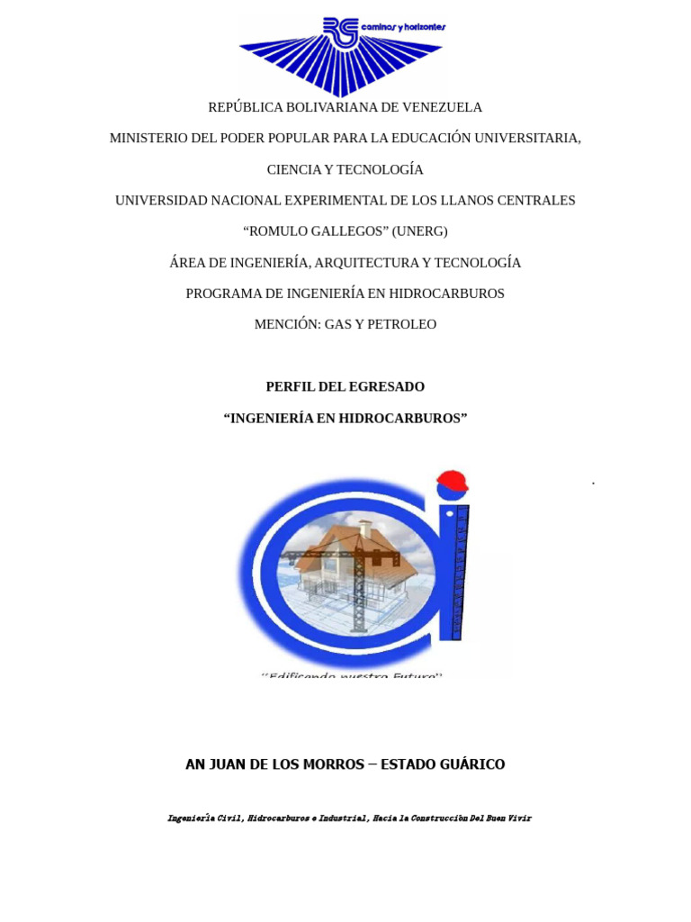 PERFIL DEL EGRESADO HIDROCARBUROS | PDF | Ingeniería | Petróleo