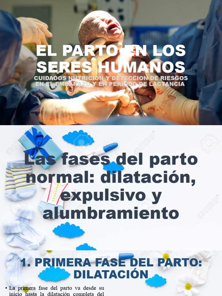 El Parto en Los Seres Humanos | PDF | Salud y bienestar