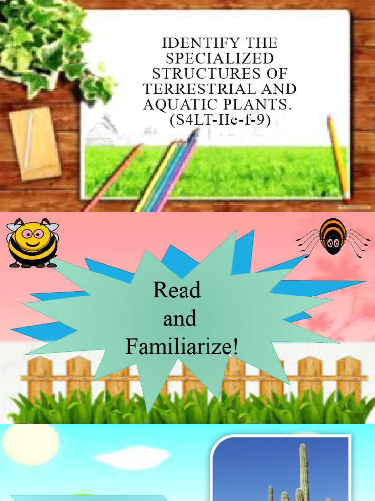 Specialized Structures of Plants | PDF | Plants | Botany