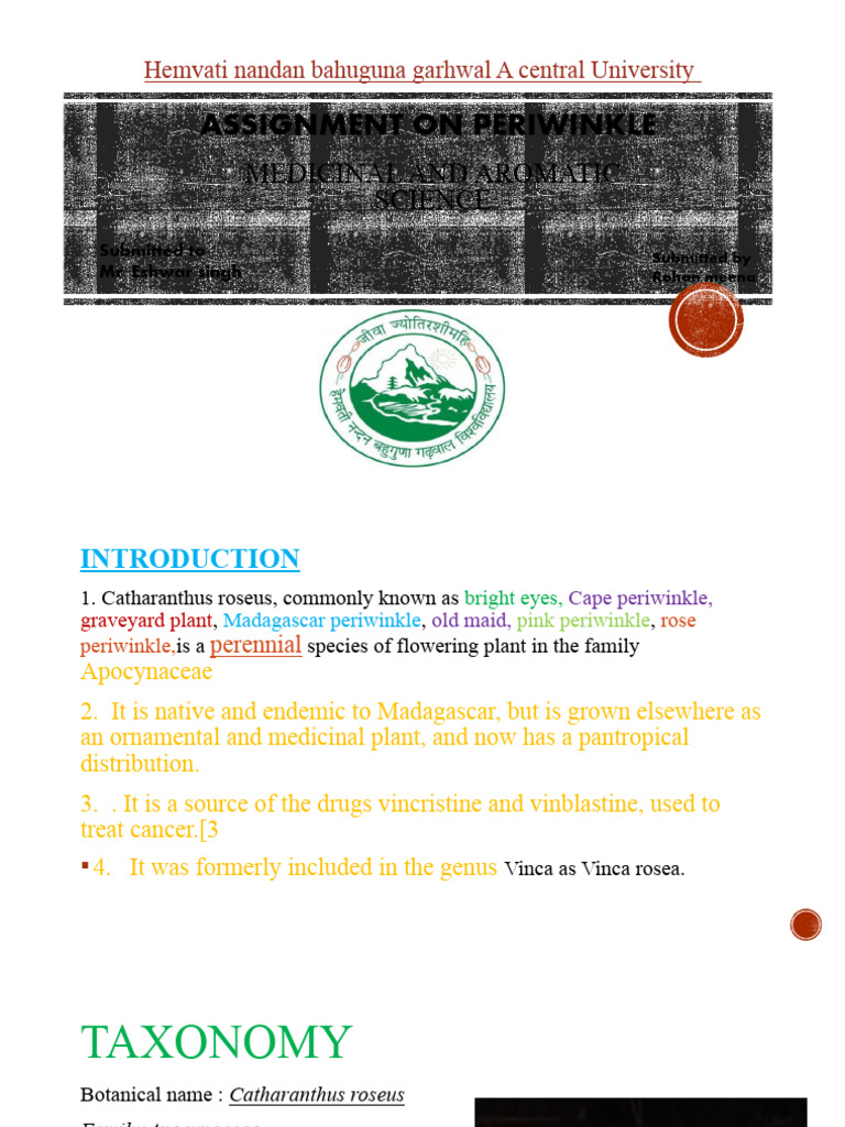 Periwinkle: Cultivation and Uses | PDF | Plants | Botany