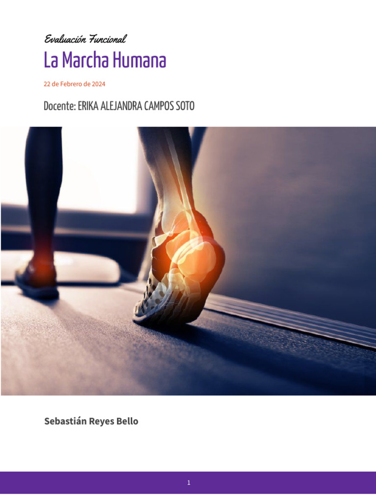 La Marcha Humana | Descargar gratis PDF | Rodilla | Tobillo