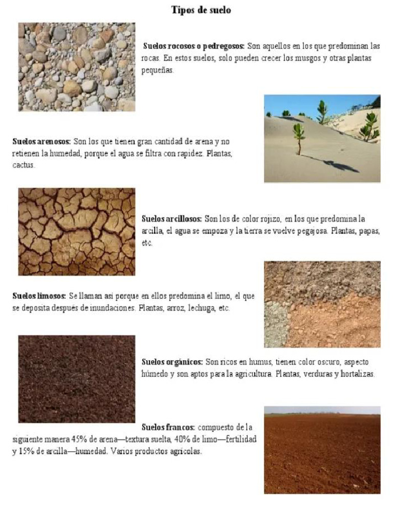Tipos de Suelos | PDF