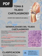 Condrogénesis y Crecimiento del Cartílago | PDF