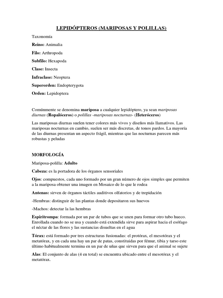 LEPIDÓPTEROS | PDF | Lepidópteros | Mariposa