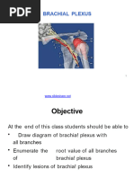 Brachial Plex Easy Diagram | PDF | Science & Mathematics
