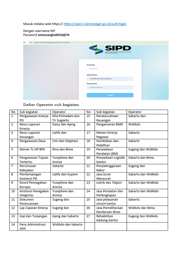Panduan Input RKA 2025 | PDF