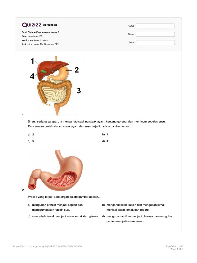 Soal Sistem Pencernaan Kelas 8 Quizizz | PDF