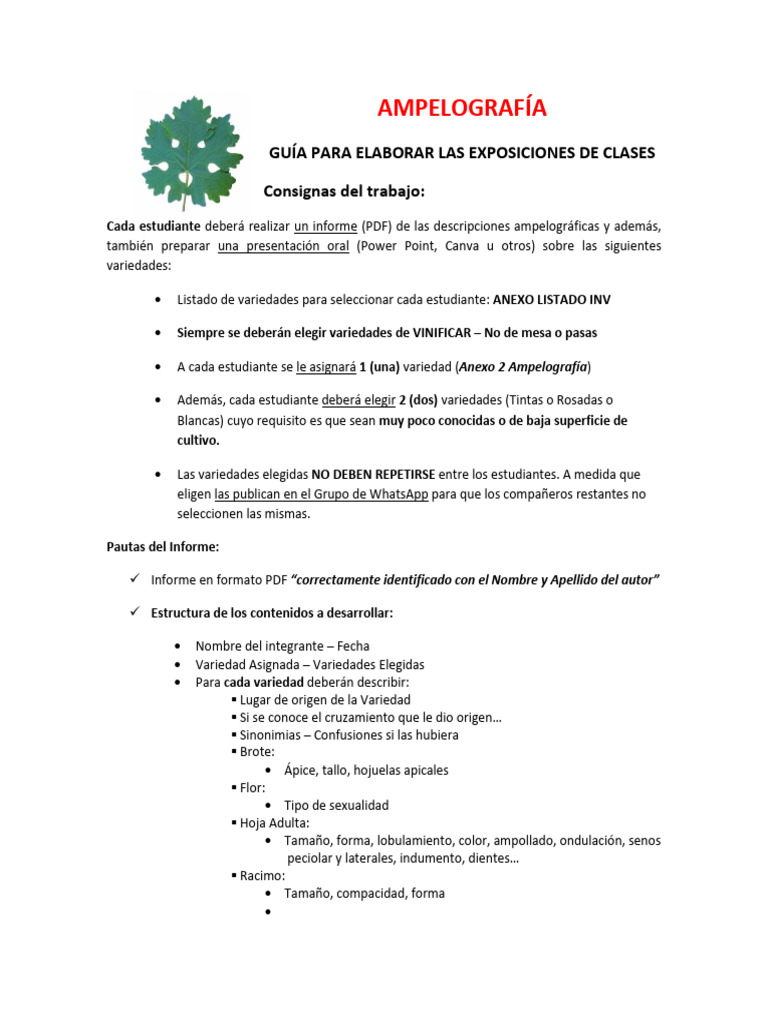 Guia para Elaborar Exposiciones Ampelografía | PDF | Vino