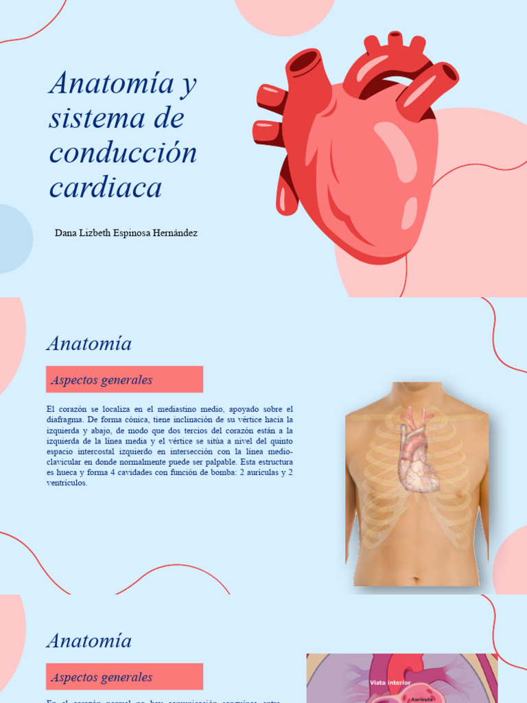 Generalidades Cardiología | PDF | Corazón | Ventrículo (corazón)